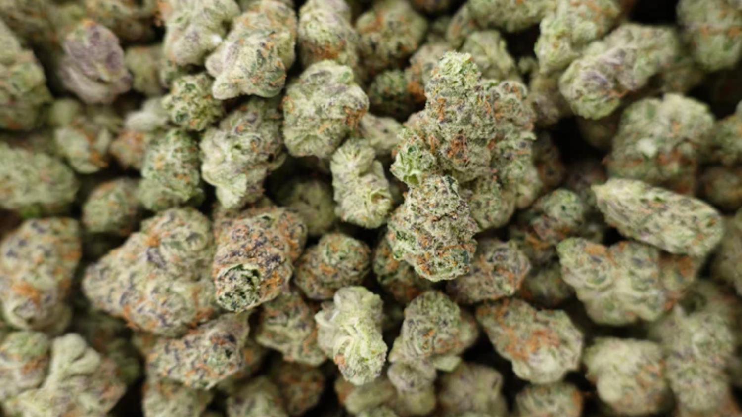 Best THCa Flower for Relaxation: Indica Strains Guide – SimplyMary