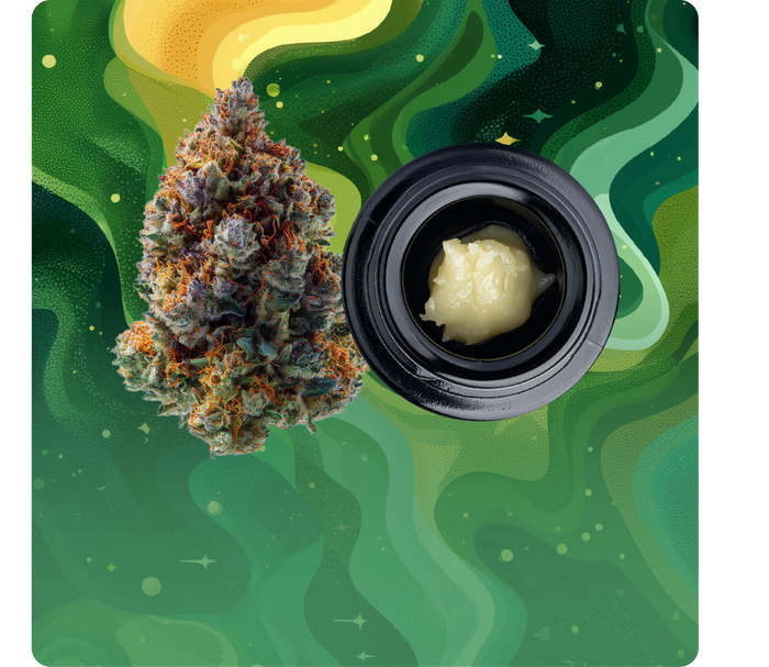 Flower Smalls vs Regular Buds: THCa Quality & Value – SimplyMary